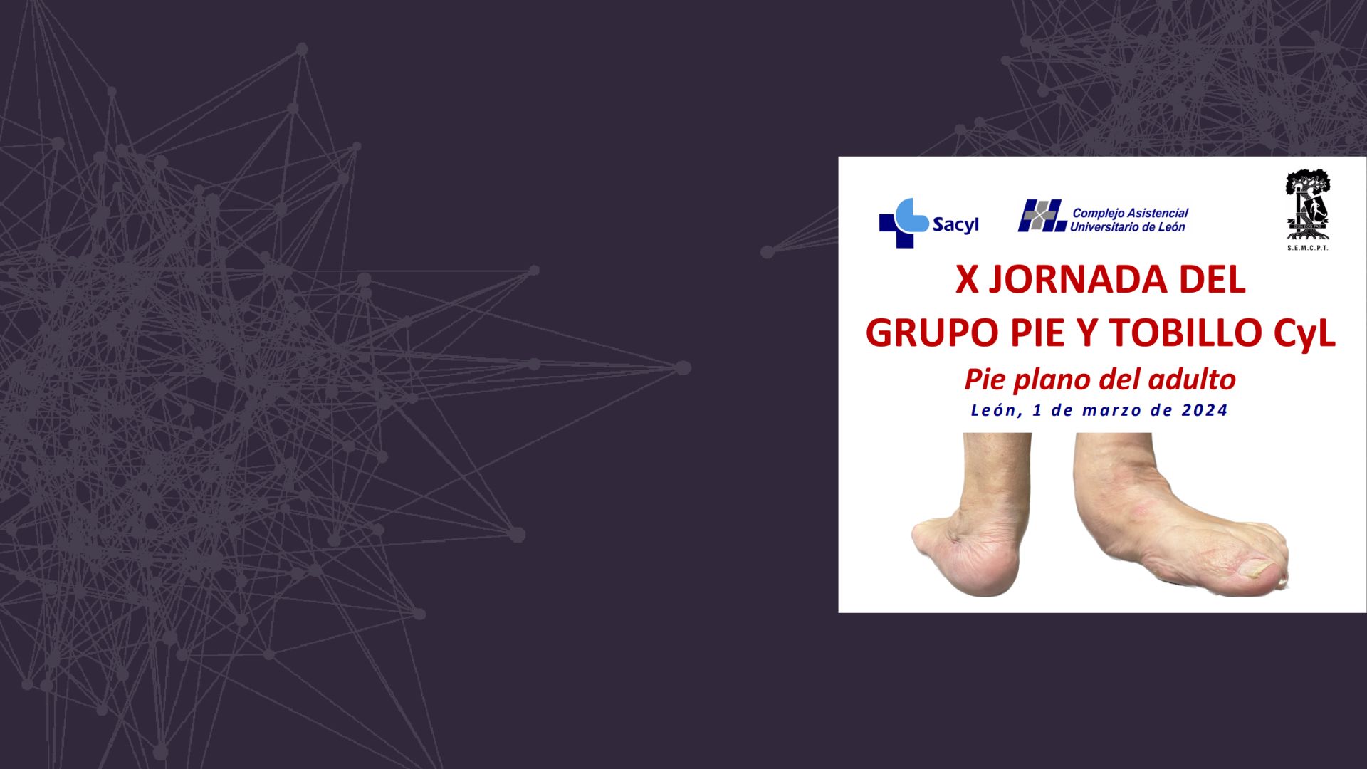 X Jornada Del Grupo Pie Y Tobillo Cyl Pie Plano Del Adulto Doryos